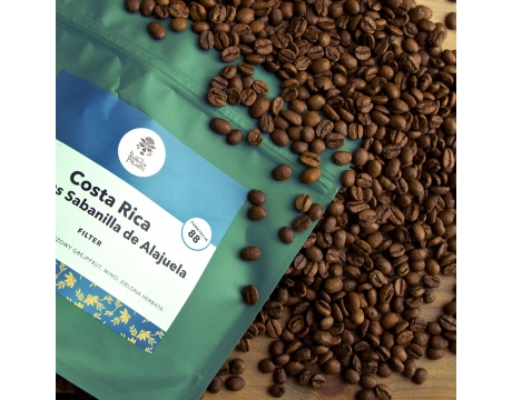 Costa Rica Las Lajas Sabanilla de Alajuela Black Honey