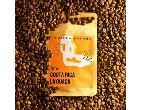 Costa Rica La Guaca Black Honey